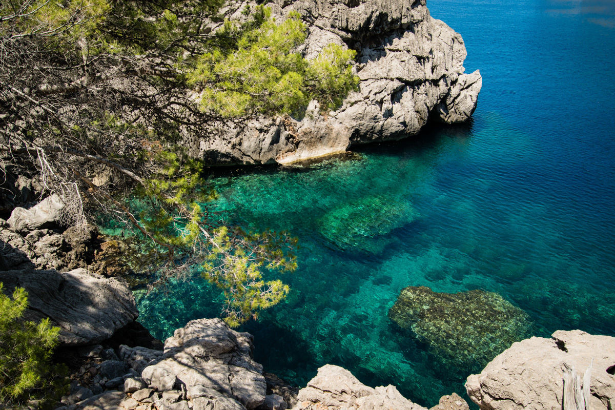 TAOGA: YEAR 2018 (By Olly Plu Photography )