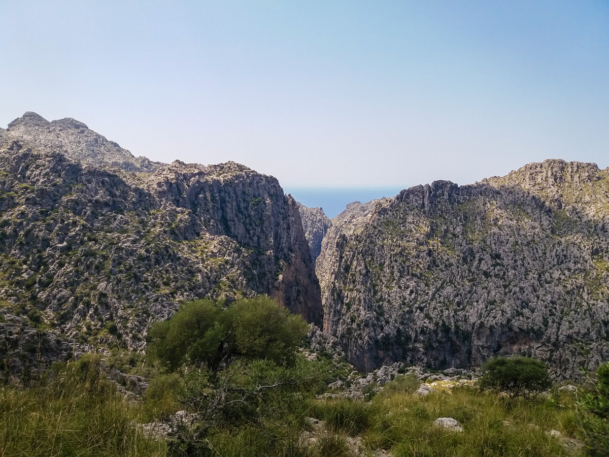 TAOGA: YEAR 2018 (By Olly Plu Photography )